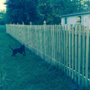 Traditional English Wood Picket 1 1 - Bryant Fence