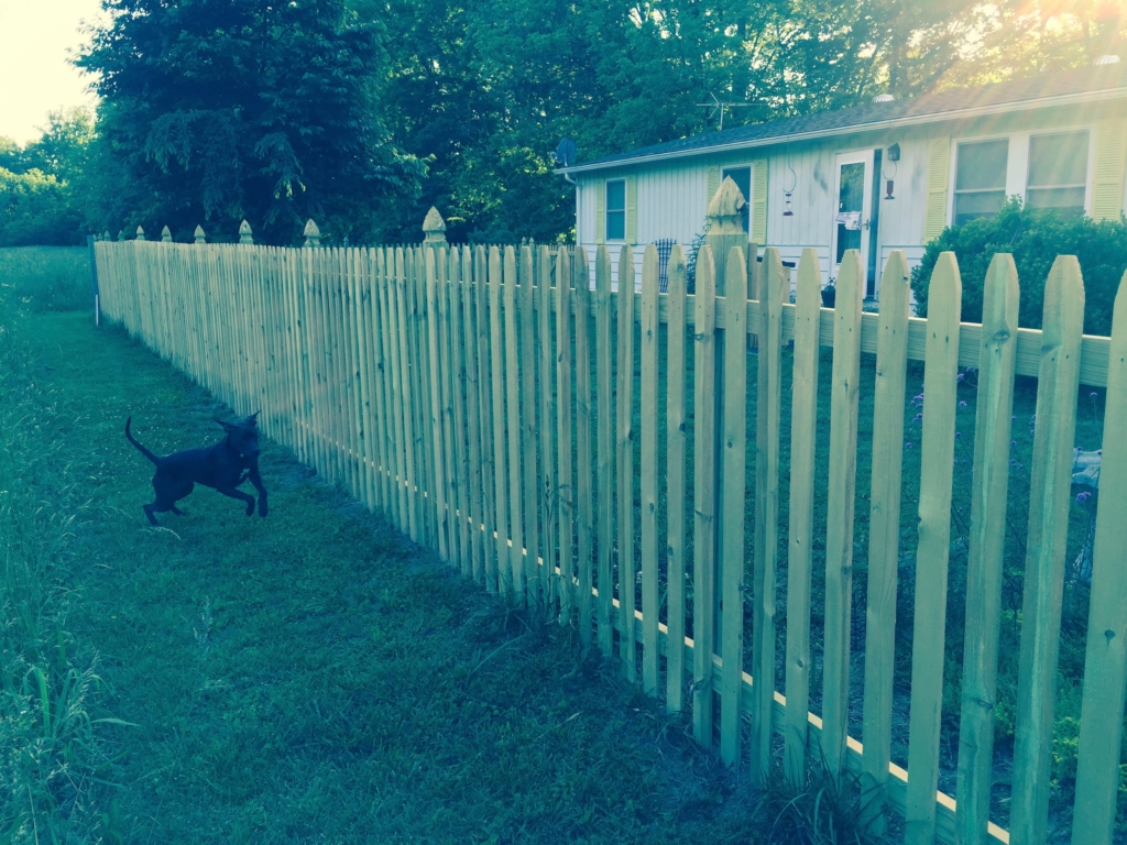 Traditional Wood Picket - Bryant Fence